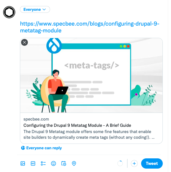 Configuring the Drupal 9 Metatag Module - A Brief Guide | Specbee